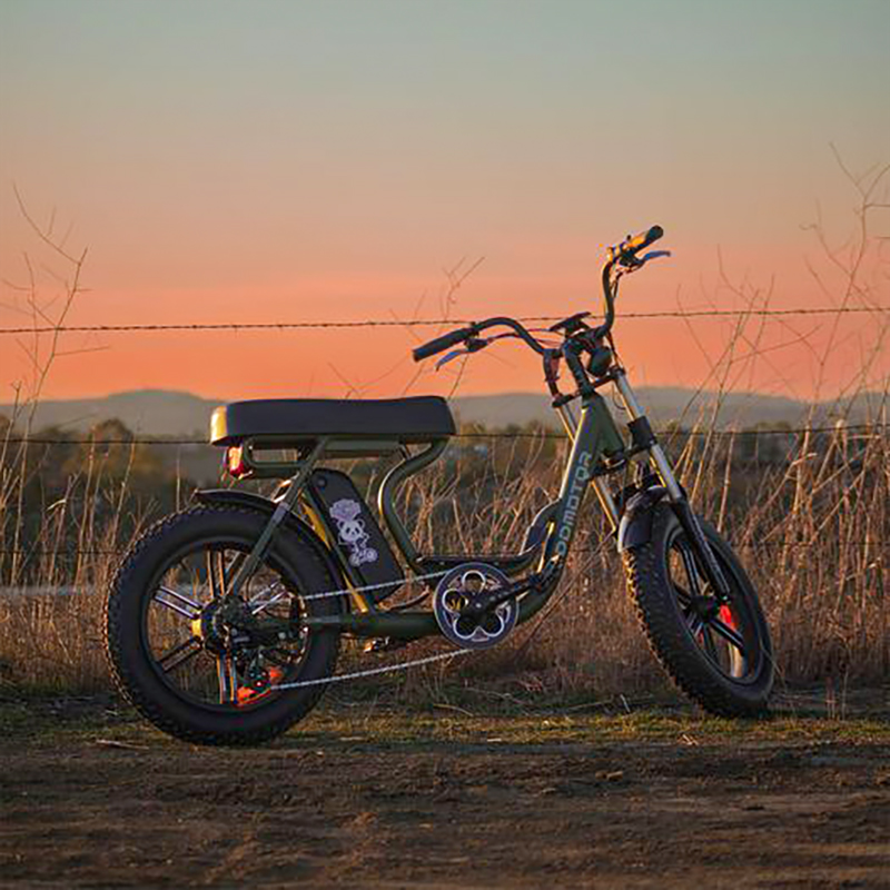 Addmotor Electric Bike & Electric Trike Shop- Best E-Bikes | Electric ...